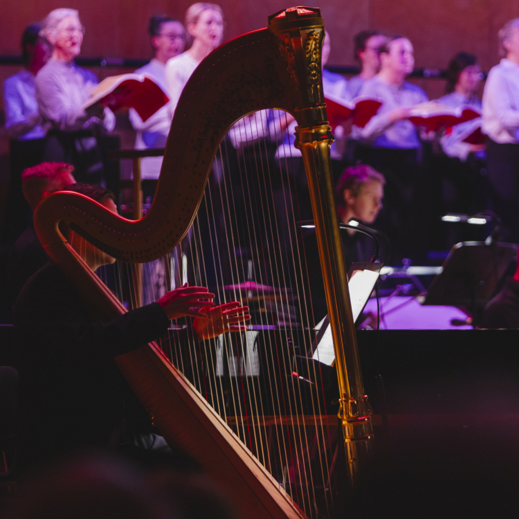 Nyfiken på klassisk musik? | Göteborgs Konserthus